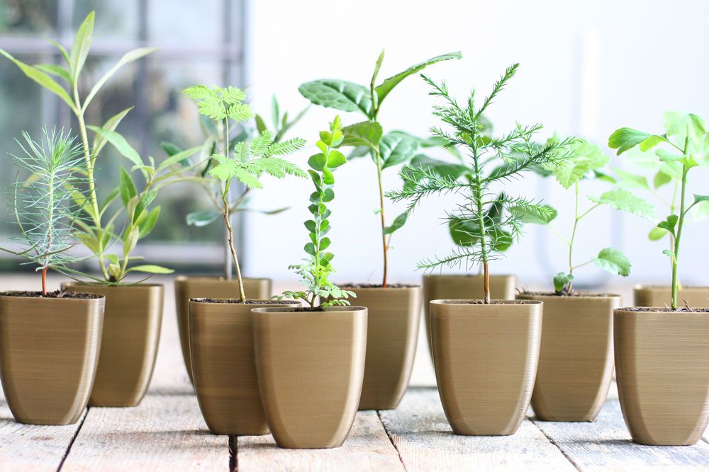 A new way of giving! | Hållbarhet | BloomPost